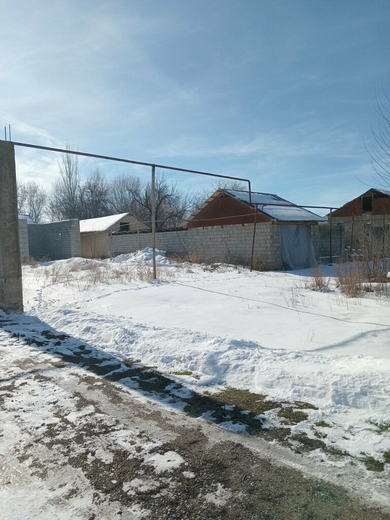 Yem ve yem katkı maddeleri Compound Feed and Feed Additives, Türkistan eyaleti, foto