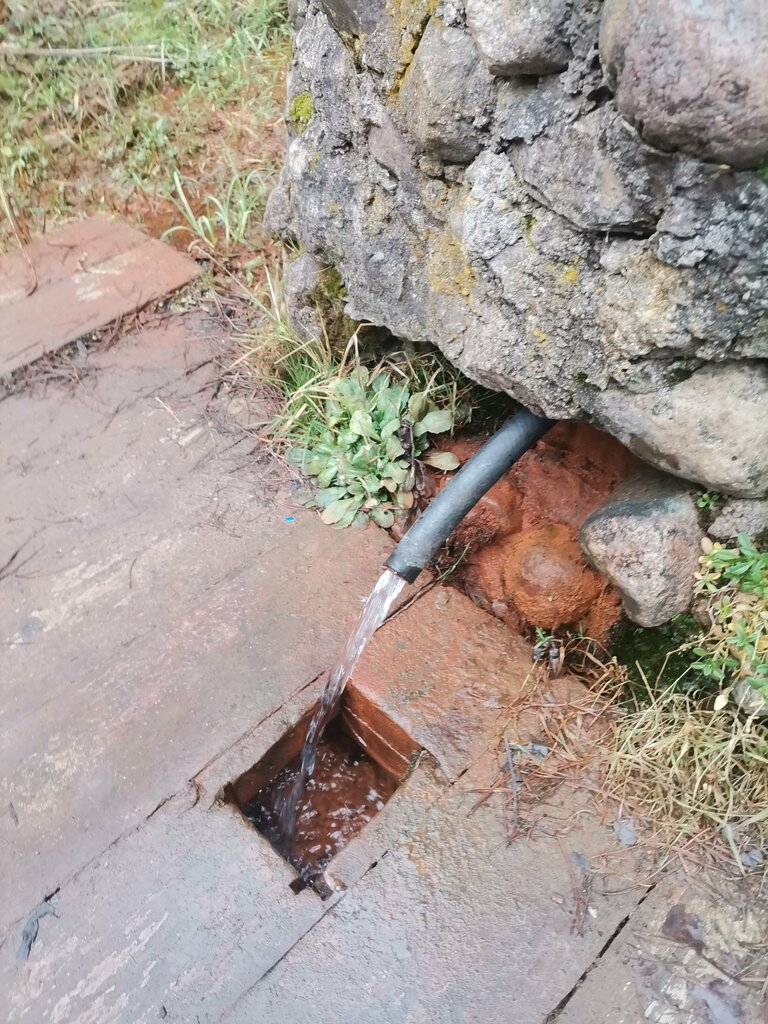Pınar, çay Spring, stream, Vitebskaya oblastı, foto