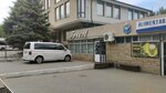 Forest (strada Nicolae Costin No:48/8), bar  Kişinev'den