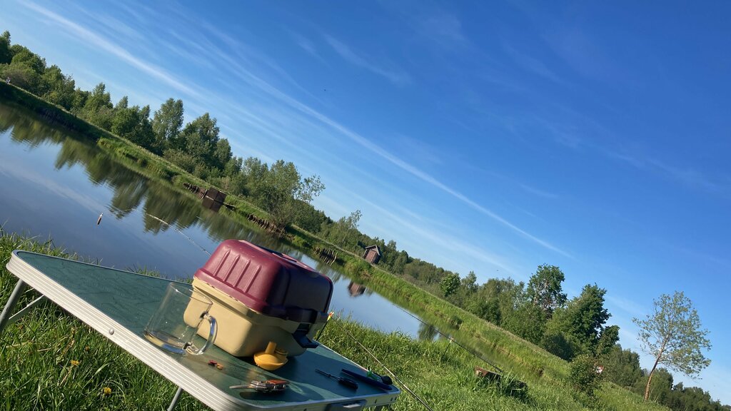 Tatil köyleri Urochishche Shchukino, Kalujskaya oblastı, foto