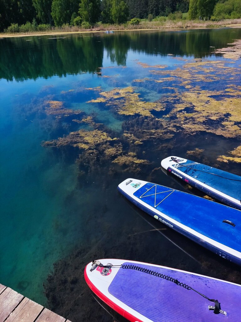 Kürek sörfü Sup Serf, Nijni Novgorod, foto