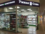 Умная сова (Lomonosova Street No:29), kırtasiyeler  Velikiy Novgorod'dan