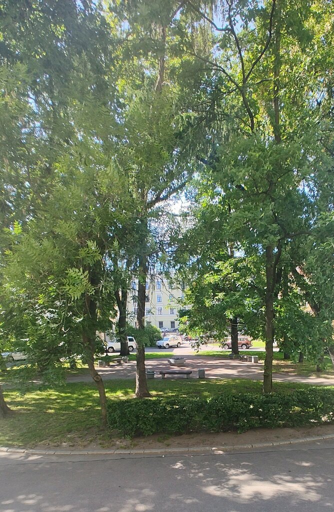 Kültür ve eğlence parkları сквер Сад парадного двора дома Штегельмана Г. Х., Saint‑Petersburg, foto