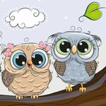 Owl (Selkorovskaya Street No:34), anaokulları  Yekaterinburg'dan