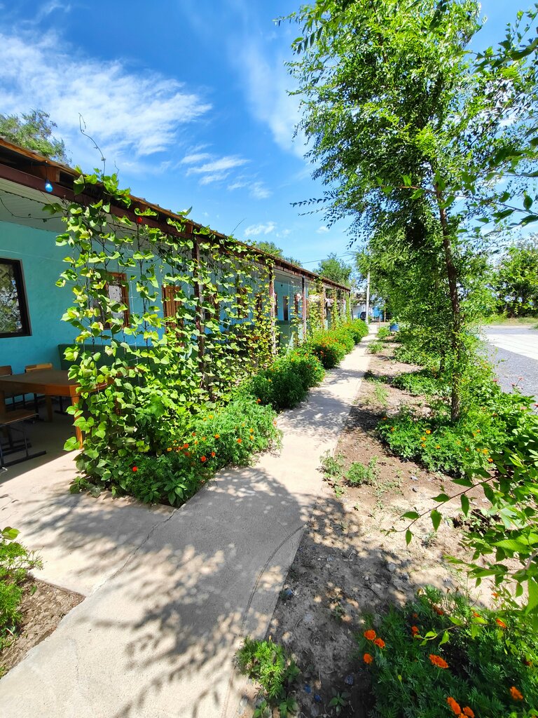 Resort oteller, tesisler Airport Alakol, Zhetysu ili, foto