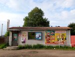 Подорожник (ulitsa Popova No:34), market  Velsk'ten