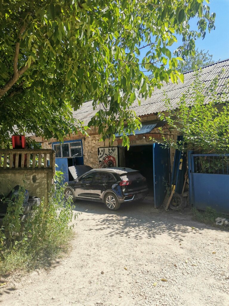 Otomobil servisi Carmarc, Dünya, foto