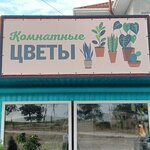 Indoor flowers in the Guards (улица Ак-Мечеть No:1, посёлок городского типа Гвардейское), çiçekçiler  Kırım Cumhuriyeti'nden
