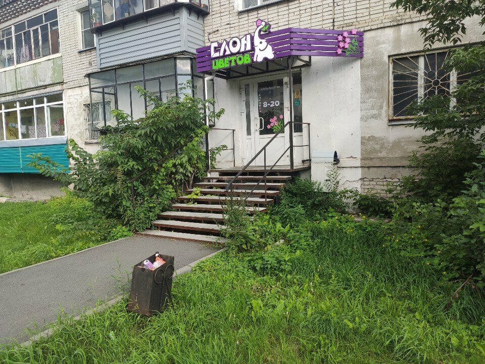 Çiçekçiler Слон цветов, Kurgan, foto