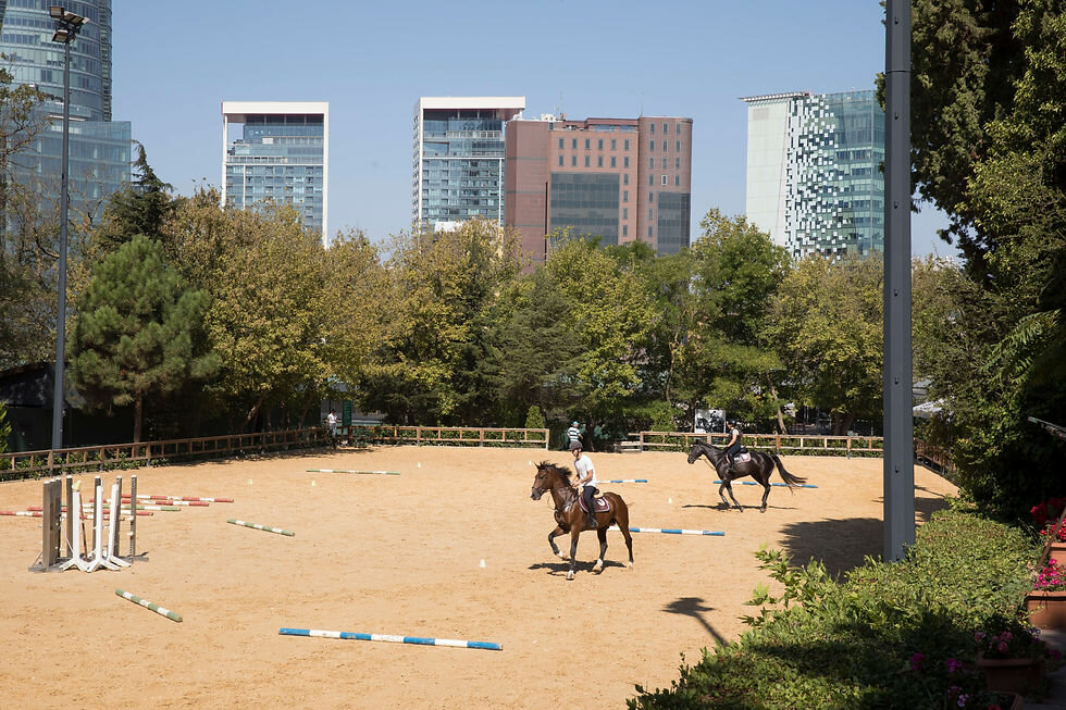 At ve binicilik kulüpleri İstanbul Atlı Spor Kulubü, İstanbul, foto