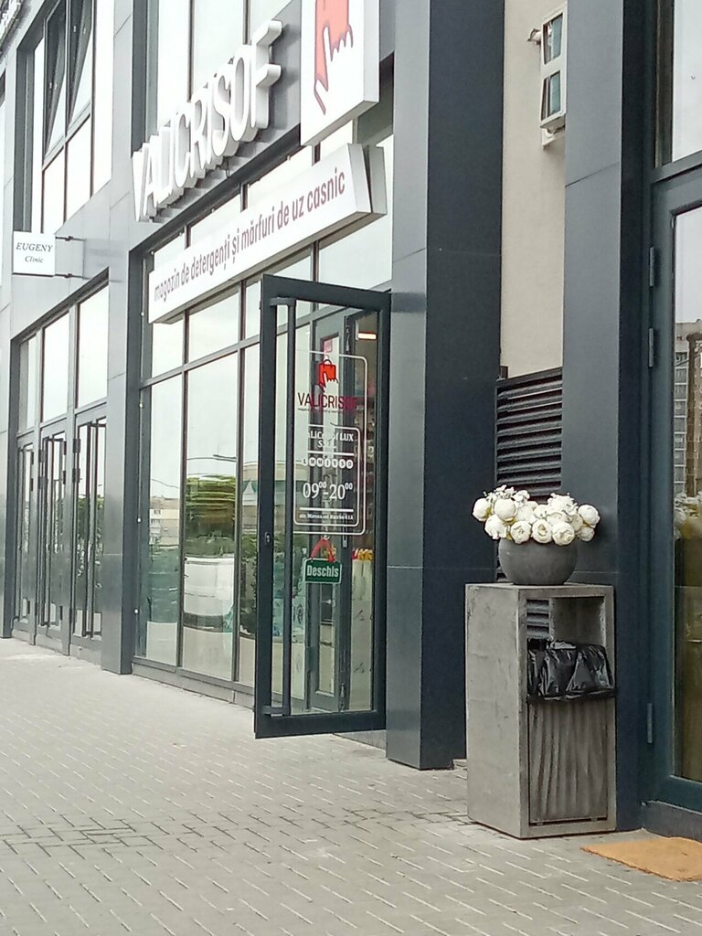 Ev temizlik ürünleri Valicrisof, Kişinev, foto