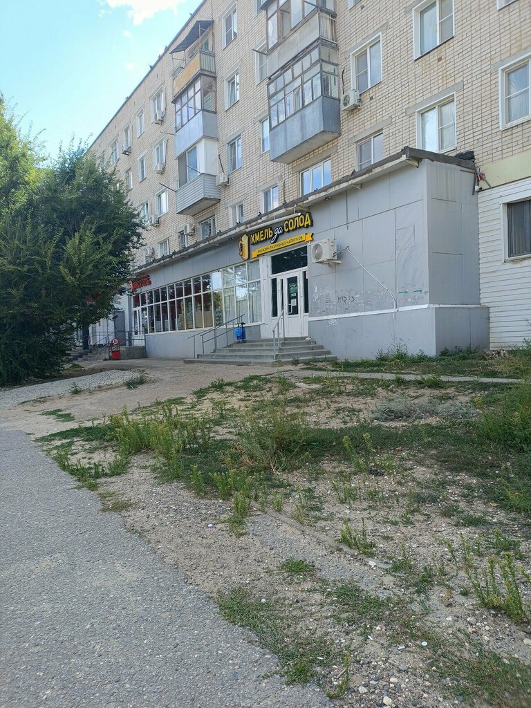 Bira dükkanı Хмель да солод, Kamyşin, foto