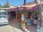 Zhamoldin (Collective Street No:1), market  Osh'tan