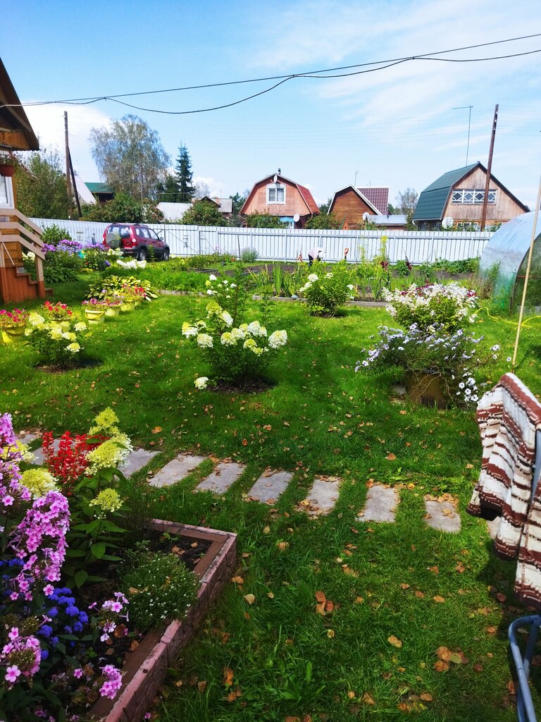 Market Зодчий, Novosibirskaya oblastı, foto
