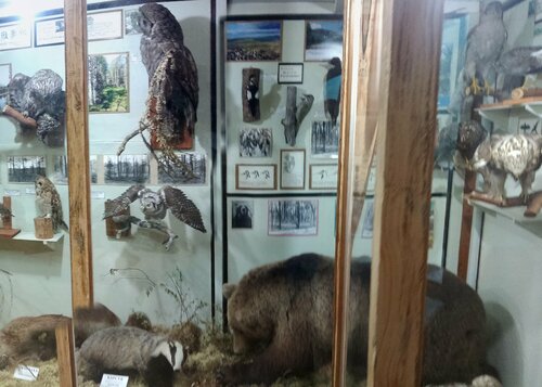 Müzeler ve sanat galerileri Музей государственного Печоро-Илычского заповедника, Komi, foto