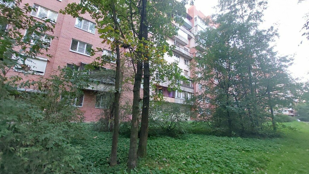 Kamu hizmet şirketi Construction and installation positions 100, Saint‑Petersburg, foto