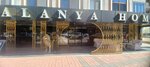 Alanya Home Real Estate & Construction (Oba Mah., Hacıkadiroğlu Cad., No:17AA, Alanya, Antalya), emlak ofisi  Alanya'dan