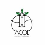 Acol Armenian ethnic manor (Tavush Region, Dilijan), şaraphane  Dilican'dan