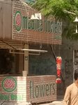Madina Flower House (New M. A. Jinnah Road No:68), çiçekçiler  Karaçi'den