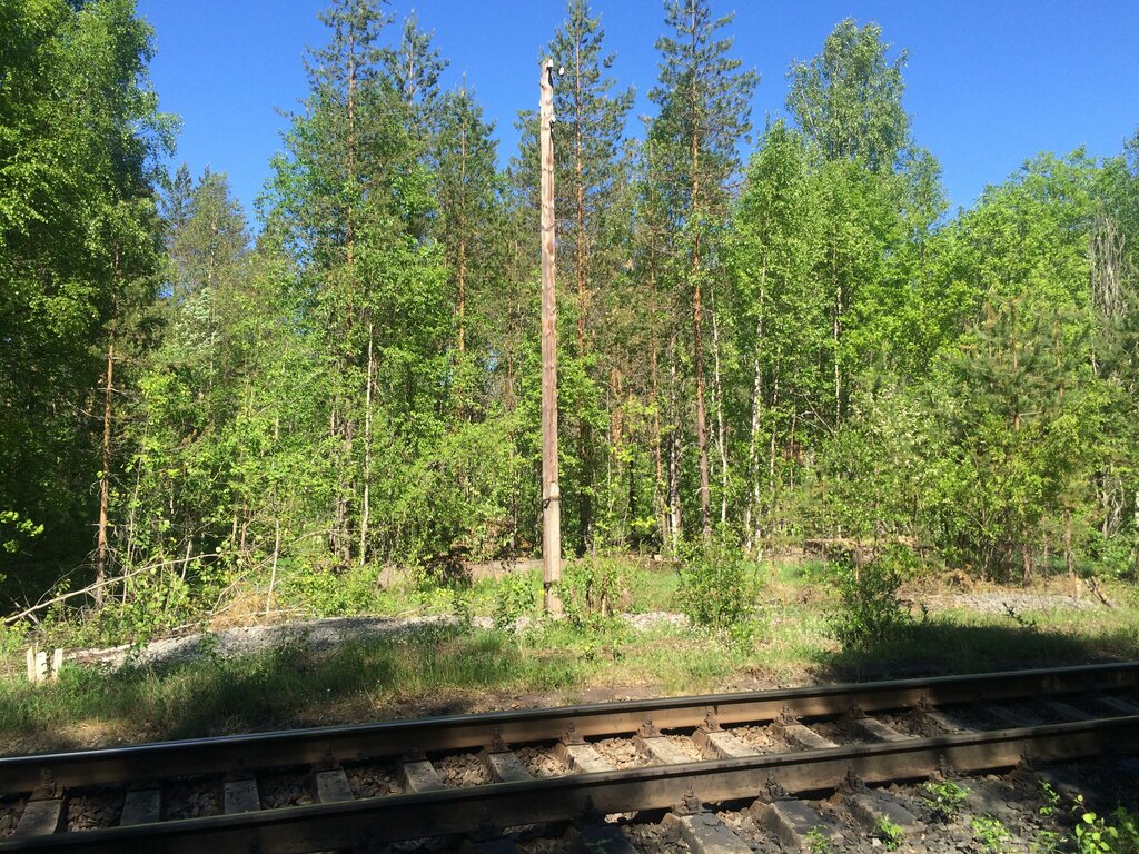 Yük istasyonu остановочный пункт Няятяоя, Karelya, foto