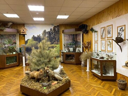 Müzeler ve sanat galerileri Лесные истоки, Kozelsk, foto