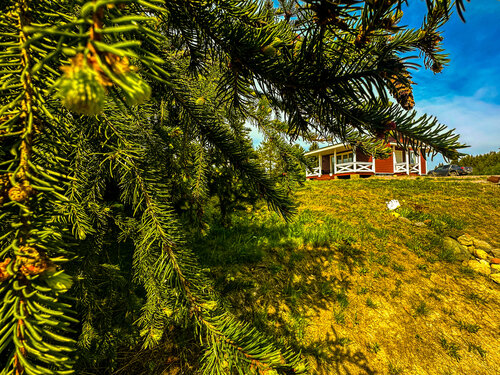 Otel Kammosenmyaki Guest house, Karelya, foto