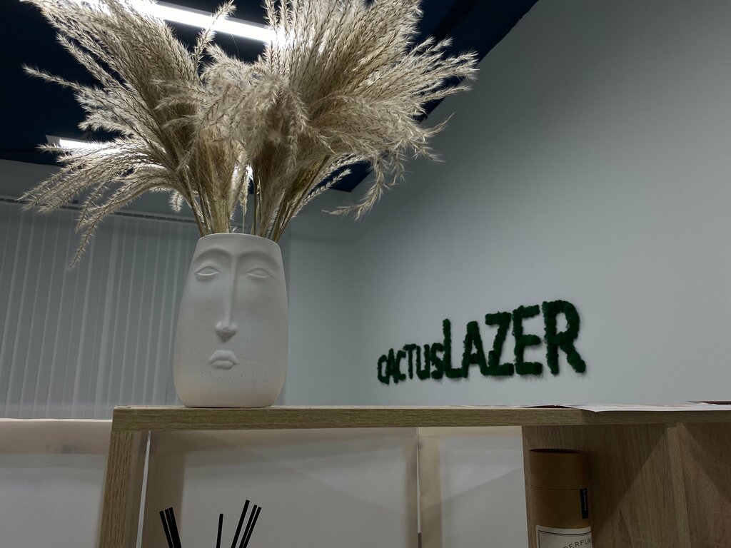 Epilasyon CactusLazer, Nijni Novgorod, foto