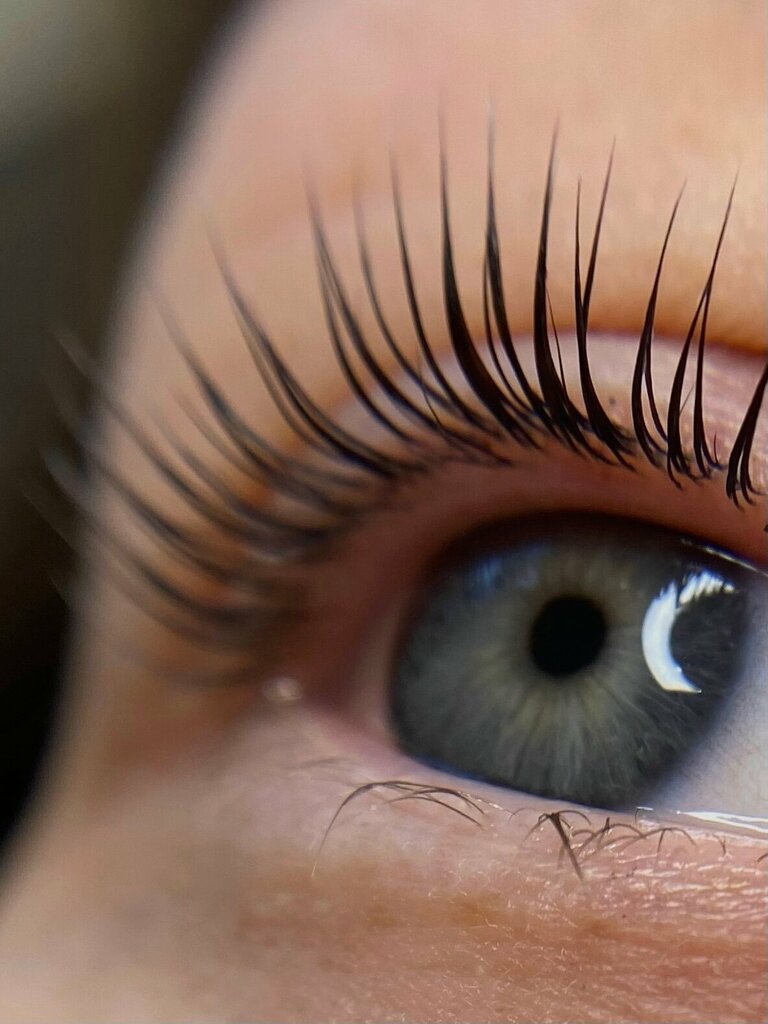 Kaş ve kirpik salonu Julia Volkova Brows&Lashes, Nijni Novgorod, foto