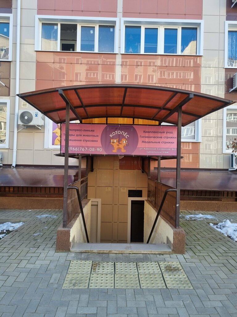 Evcil hayvan kuaförleri Котопёс, Krasnodar, foto