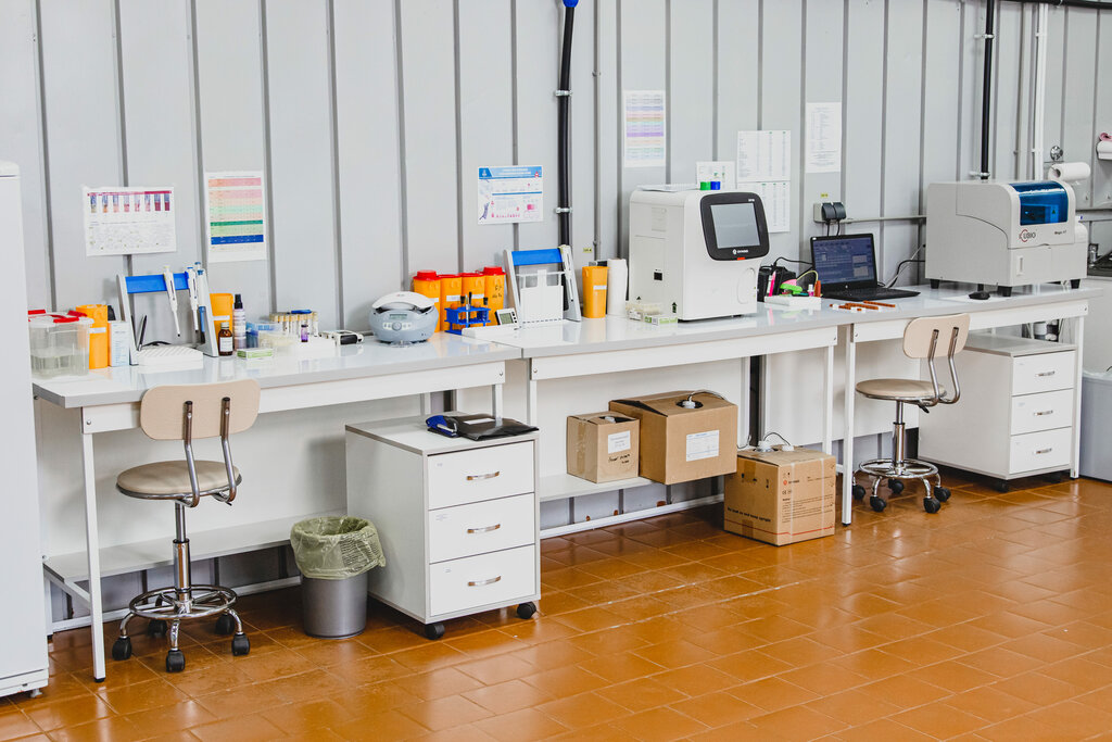 Veteriner laboratuvarı Animal Lab, Kaluga, foto