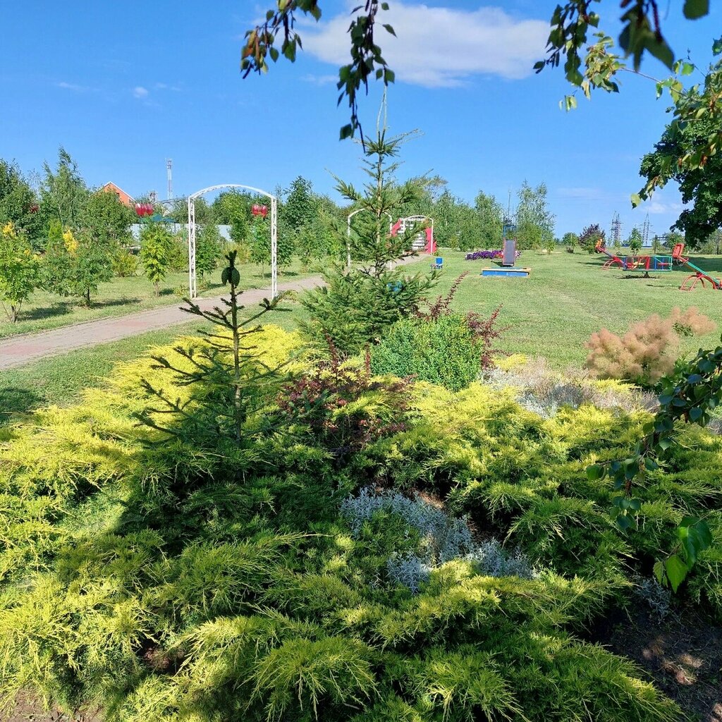 Oyun alanı Playground, Belgorodskaya oblastı, foto