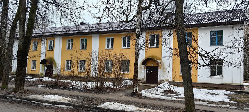 Sokak sanatı Анатолий Папанов, Smolensk, foto