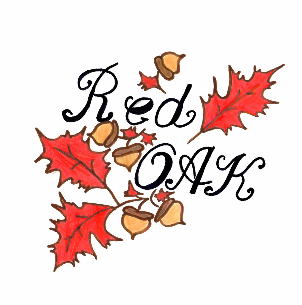 Meslek kursları Red Oak, Krasnodar, foto