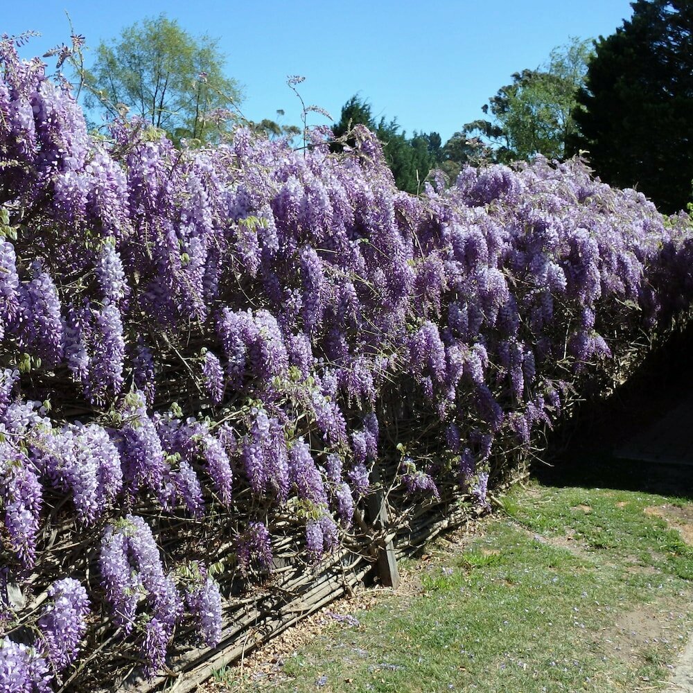Otel Bowral Road Bed and Breakfast, Yeni Güney Galler, foto