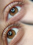 Lashes&Brows by Kriss (Moscow, Novomoskovskiy Administrative Okrug, Scherbinka District, Militseyskiy Village, Tipografskaya Street, 24), kaş ve kirpik salonu  Moskova'dan