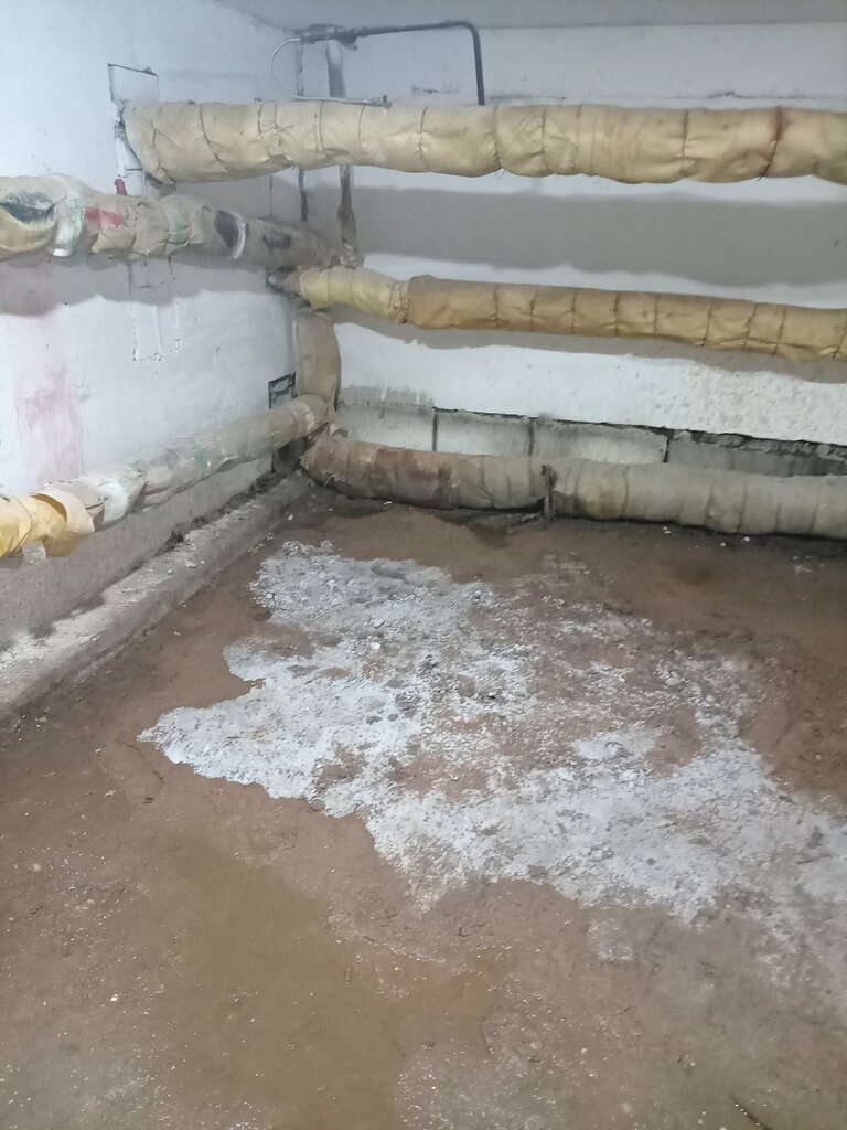 Konut servisleri kuruluşları ZhEU № 8, Baran, foto