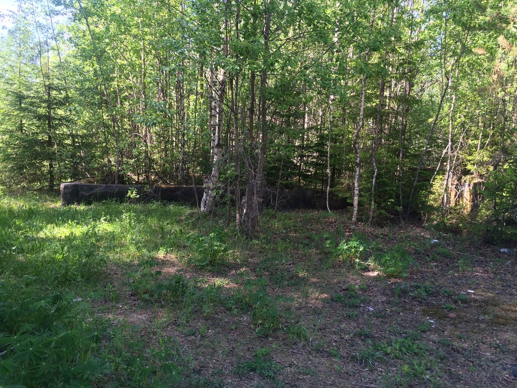 Yük istasyonu остановочный пункт Паперо, Karelya, foto