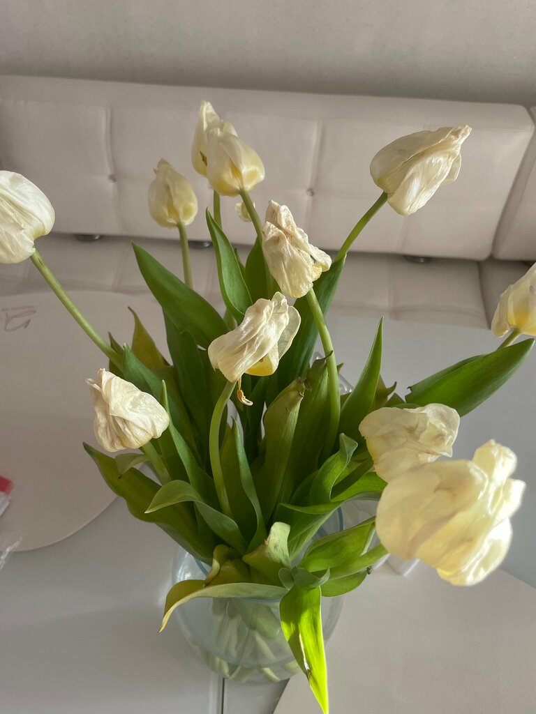 Çiçekçiler Салон цветов, Yelets, foto