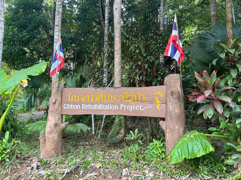 Veteriner klinikleri Gibbon Rehabilitation Project, Phuket Eyaleti, foto