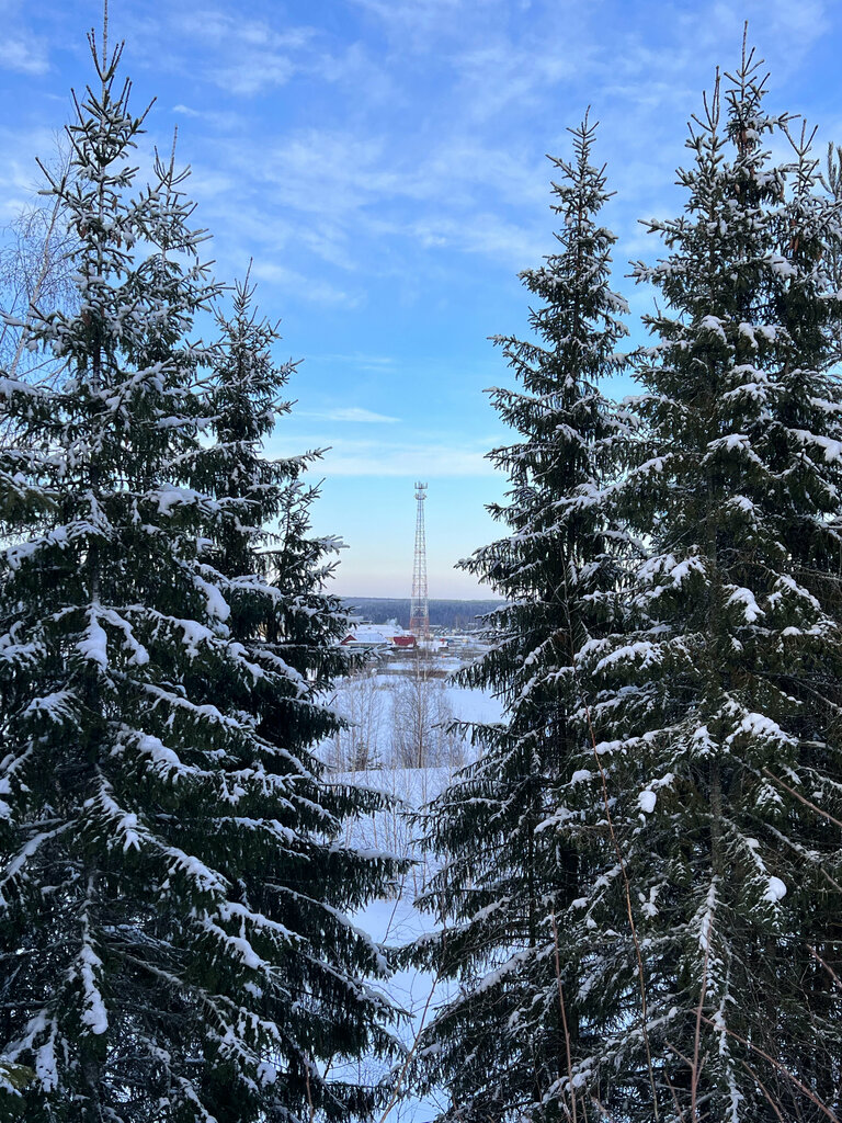 Unutulmaz olayların yeri Шахтерские горы, Çuvaşya, foto