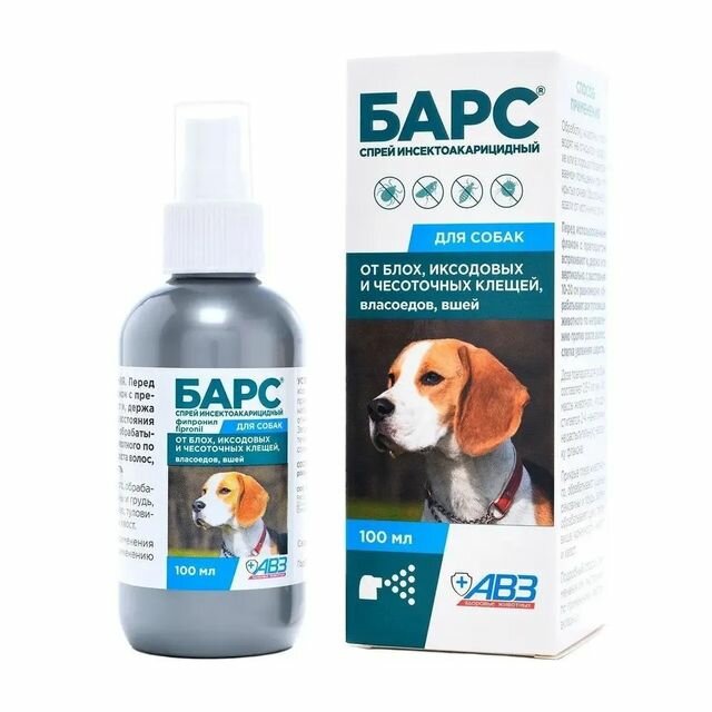 Petshop Kotopes, Öskemen (Ust‑Kamenogorsk), foto