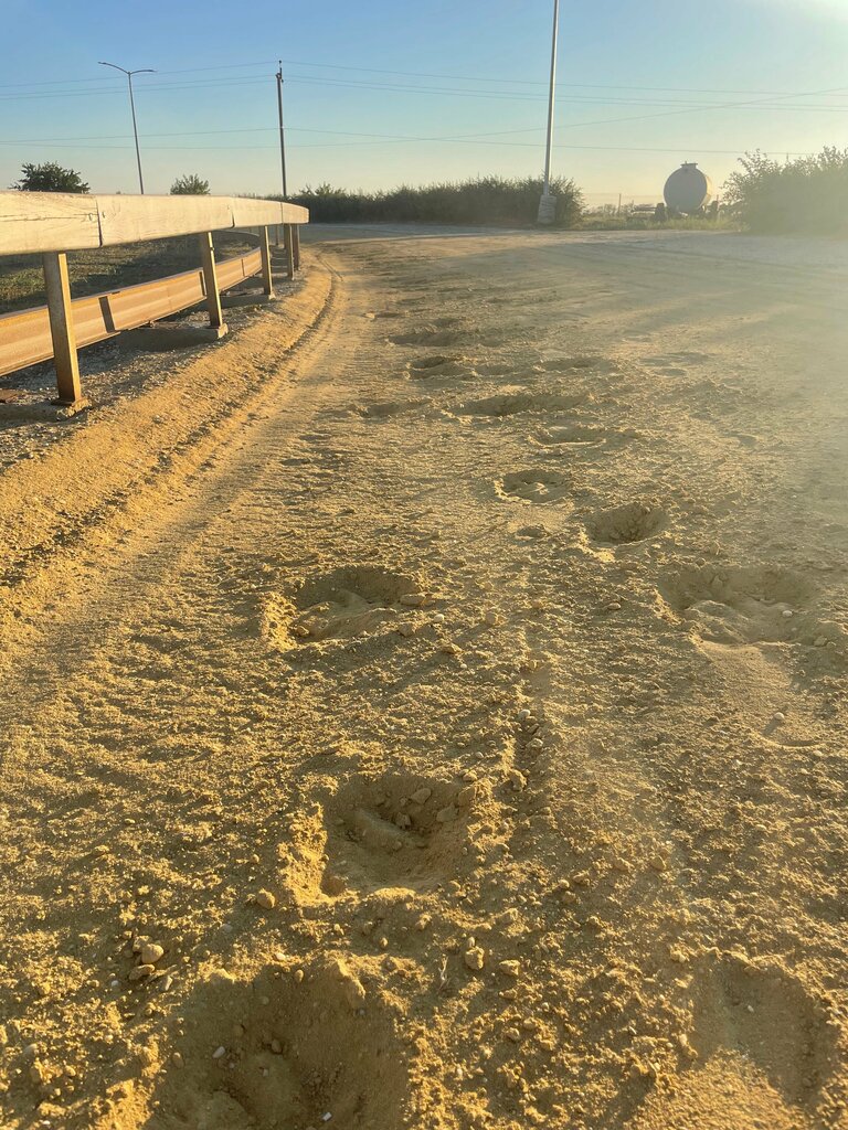 Spor tesisi Трек Раздолье, Kırım Cumhuriyeti, foto