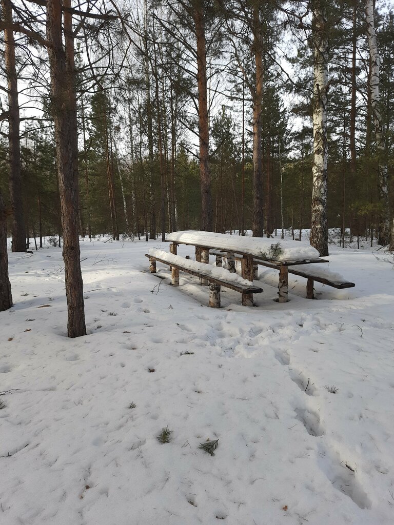 Piknik alanı Place for picnic, Mordovya, foto