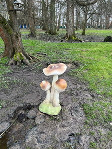 Опята (Kaliningrad Region, Zelenogradsk, City Park), park, sokak heykeli  Zelenogradsk'tan