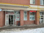 Магазин цветов и канцтоваров (Lyadovskaya ulitsa No:125), çiçekçiler  Perm'den