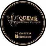 Ödemiş Çiçekçilik (İzmir, Ödemiş, Atatürk Mah., Hatay Cad., 2A), çiçekçiler  Ödemiş'ten