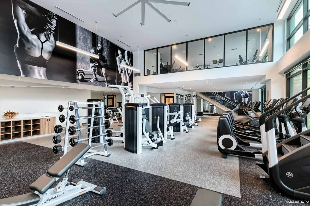 Spor ve jimnastik salonları Бицепс, Krasnoyarski krayı, foto