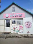 Цвета Бум (Lesnoy pereulok No:1), çiçekçiler  Volgograd'dan