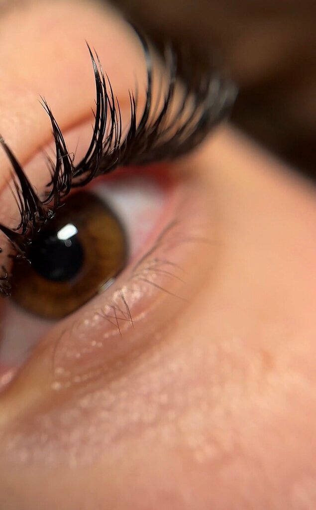 Kaş ve kirpik salonu Lashdam, Moskova, foto