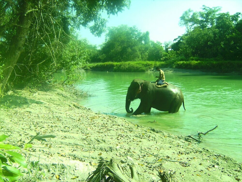 Otel Nepal Wildlife Resort, , foto